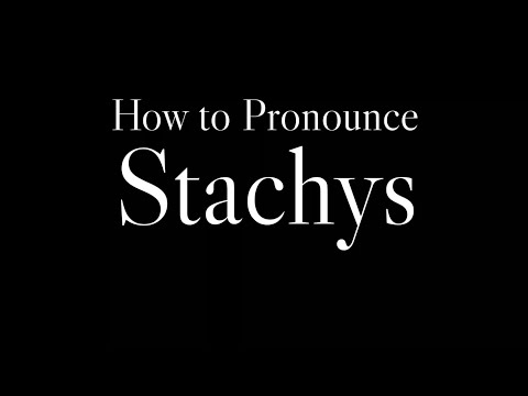 Stachys