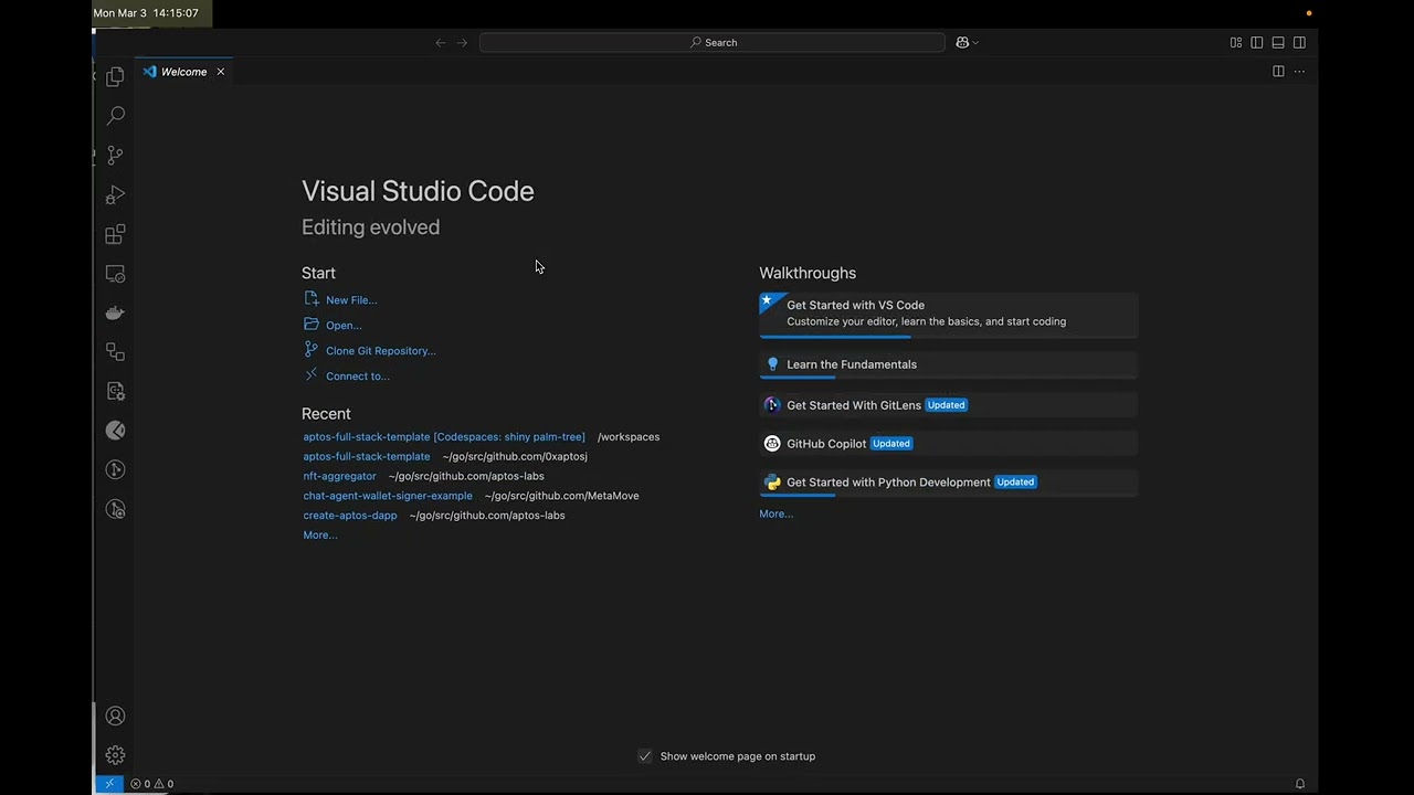 Aptos development from GitHub Codespace