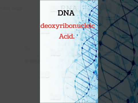 Full form of DNA Or RNA #viral #Yu EDUCATION