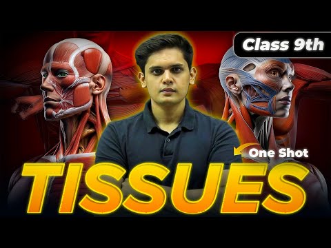 Tissues Complete Chapter????| CLASS 9th Science| NCERT covered | Prashant Kirad