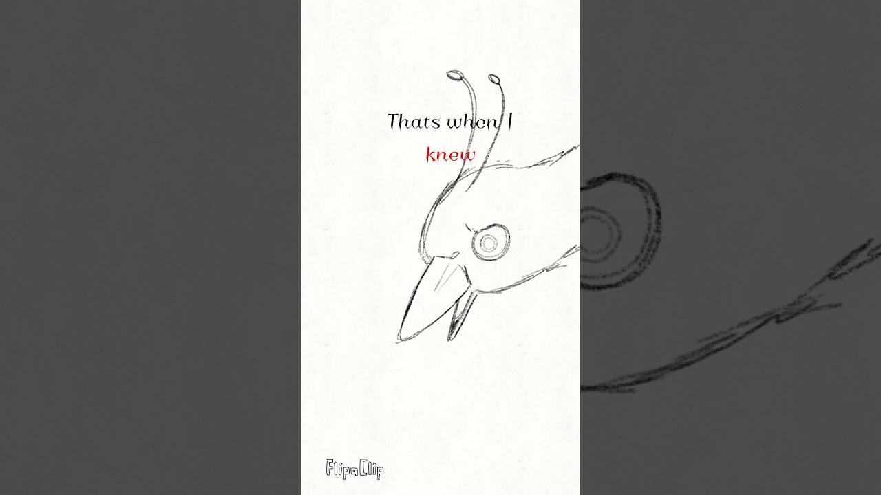 she was a bird I was an arrow(TW: blood, death..?)#animation #shortanimation #trending #animationart