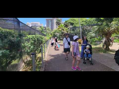 Waikiki Zoo Hawaii