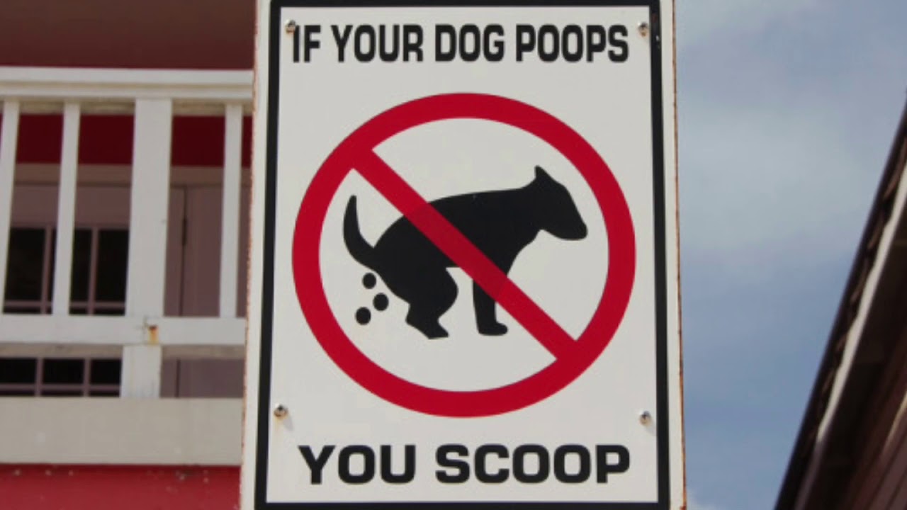 Reading Funny Signs CCXLV