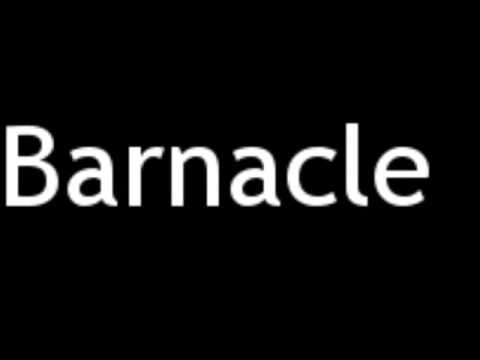 How to Pronounce Barnacle