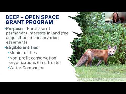 State CT DEEP Funding Info Session