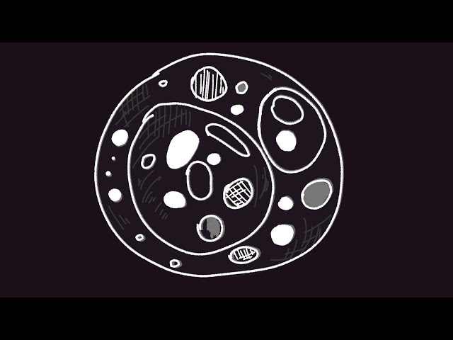 Understanding Scoped Services Lifetime in ASP.NET Core | Galaxy.ai ...