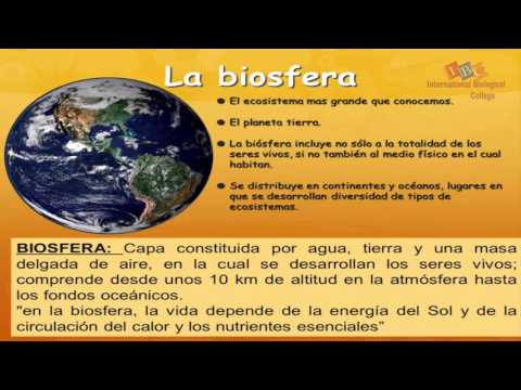 Clase 6 Ecologia Biosfera