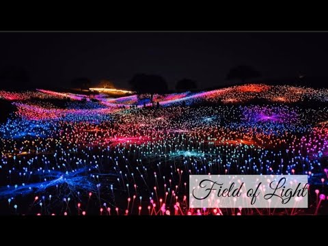Field of Light | Paso Robles | Sensorio