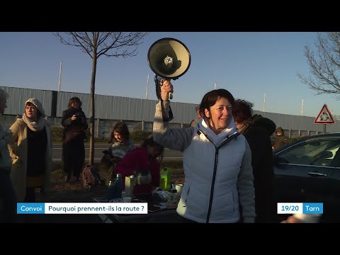 Le "convoi de la liberté" albigeois