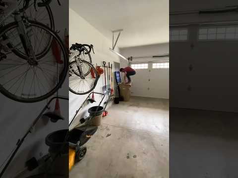 Monday chuckles | bluebird of bitterness