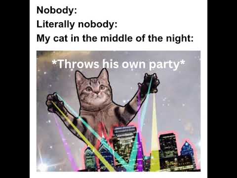 Funny Cat Memes #shorts