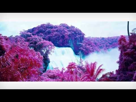 Richard Mosse - The Enclave - Jack Shainman Gallery