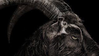 The Witch (2015) - Black Phillip reveals himself