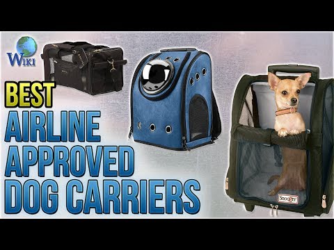 10 Best Airline Approved Dog Carriers 2018
