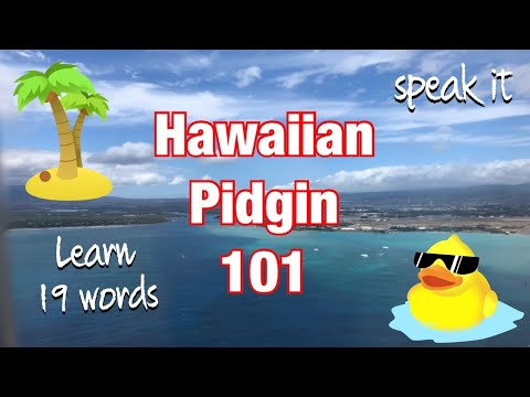 Hawaiian Pidgin 101