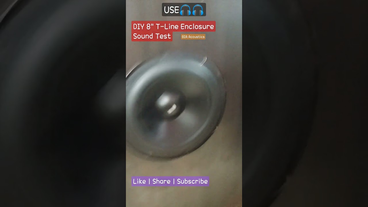 DIY 8 inch subwoofer | Transmission line | Sound Test