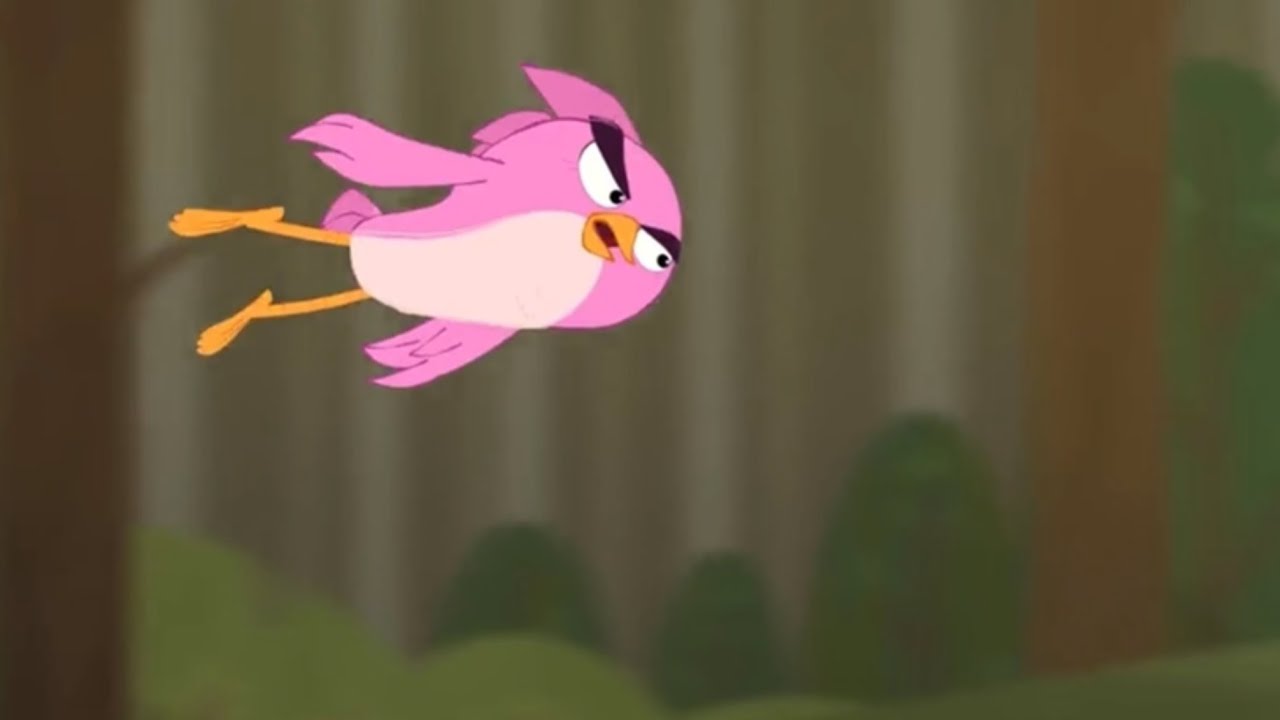 Angry Birds Summer Madness Stella Beats Terrence HD