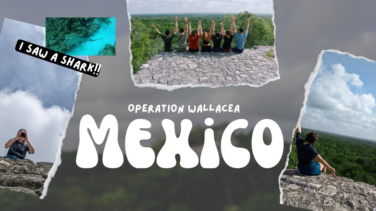 Opwall Mexico 2023