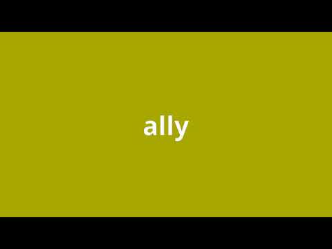 what is the meaning of ally
