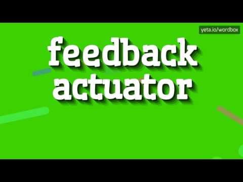 HOW TO SAY FEEDBACK ACTUATOR?