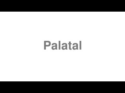How to Pronounce "Palatal"