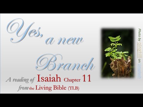 Isaiah 11:1-6,9 - A New Branch - the Living Bible