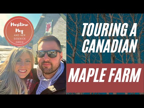Visiting a Canadian Maple Farm