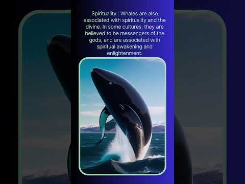 The whale is a symbol of wisdom and spirituality.