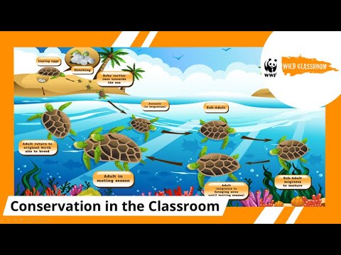 Photos & Videos | WWF