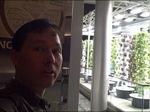 Vertical Tower Garden Feeds 10,000+ People a Year at the World's 4th Busiest Airport