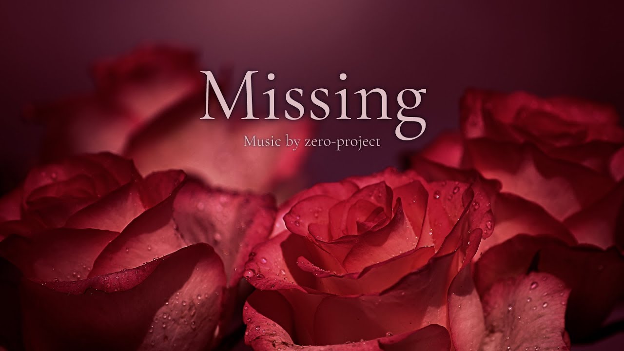 zero-project - Missing (2018 version)