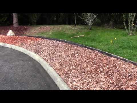 What are the proper uses for Cedar Mulches? Peninsula Landscape Supplies