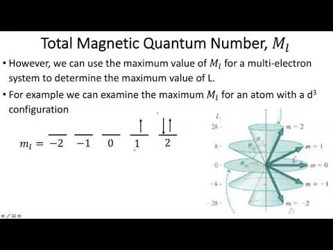 8.18-Total Orbital Angular Momentum