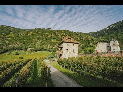HISTORICAL VINEYARD IN SOUTH TYROL