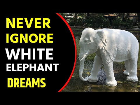 What does White Elephant dream meaning || Dreaming of White Elephant || White Elephant in dream
