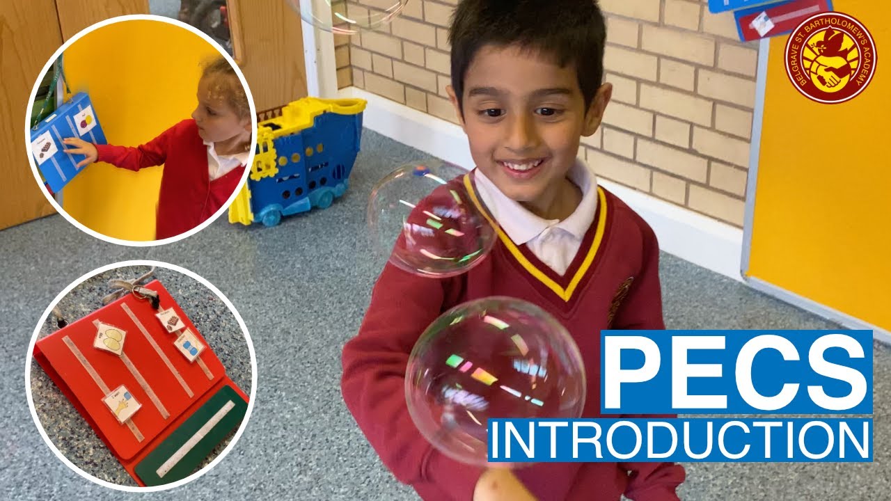 PECS | An Introduction to the Picture Exchange Communication System | The Avenue