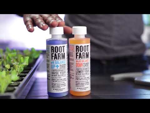 Maintaining Optimal pH Levels in Your Hydroponics | Root Farm Canada