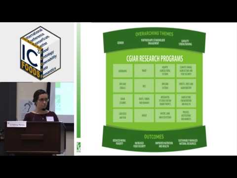 IC-FOODS 2016- Cristina Perez, International Food Policy Research Institute (IFPRI)