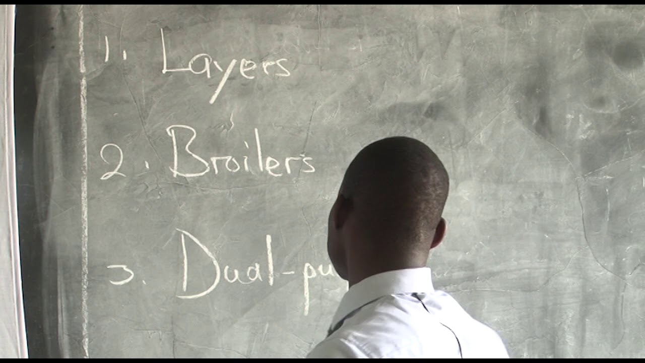 SCIENCE lesson 8  Topic : Poultry farming or Chicken Farming