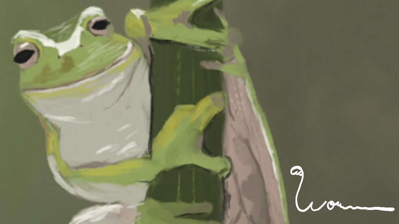 Frog Timelapse | Watercolor Procreate Art