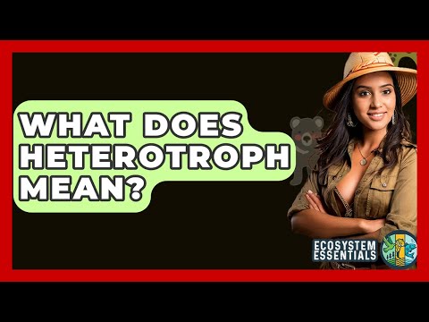 What Does Heterotroph Mean? - Ecosystem Essentials