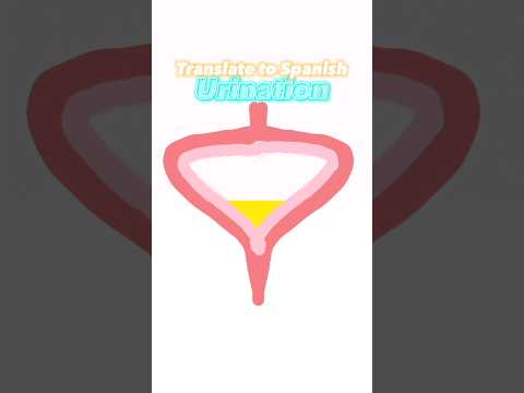 URINATION Translate to SPANISH | Medical Interpreter Training - Work Vocabulary