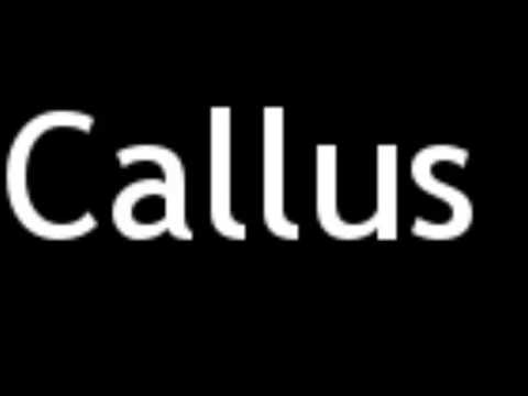 How to Pronounce Callus
