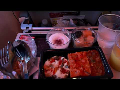 Qatar Airways Meal Journal in less than a minute