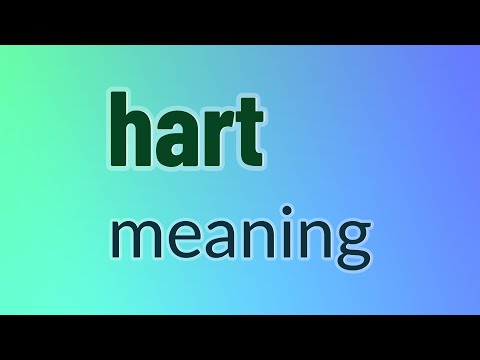 Hart - 23 English Vocabulary Flashcards