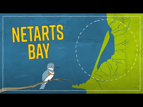 Meet Your Bay: Netarts