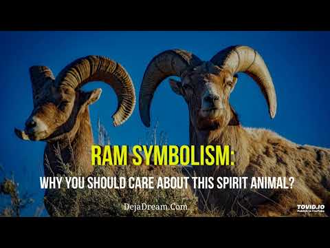 Ram Symbolism: Why You Should Care About This Spirit Animal?
