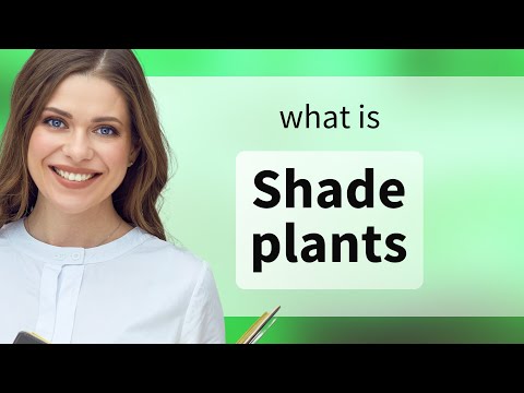 Understanding "Shade Plants" in English