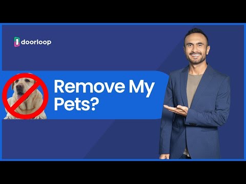 Issuing a Notice to Tenants to Remove Pets