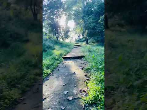 MC College Campus Sylhet 2023 #MC #Sylhet #College #Campus #Couple #Beauty #travelvlog #travel #tour